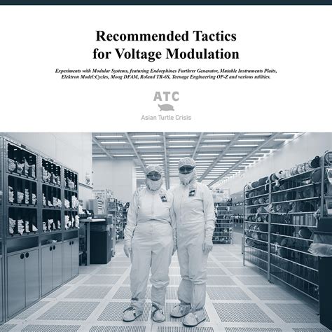 Recommended Tactics For Voltage Modulation Digital Download The Backyard Records