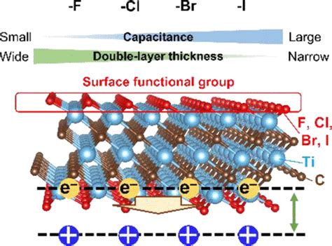 Relationship Between Electric Double Layer Structure Of Mxene Electrode And Its Surface
