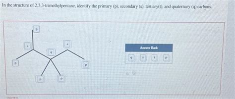 Solved In The Structure Of 2 3 3 Trimethylpentane Identify