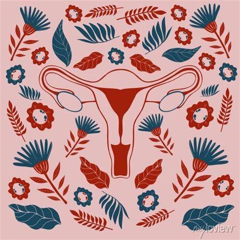 Female Reproductive System Stylized Flat Vector Illustration • Wall