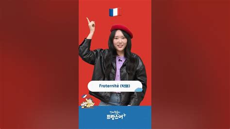 프랑스 국기 색깔의 의미 프랑스국기 프랑스국기이름 프랑스국기의미 Youtube