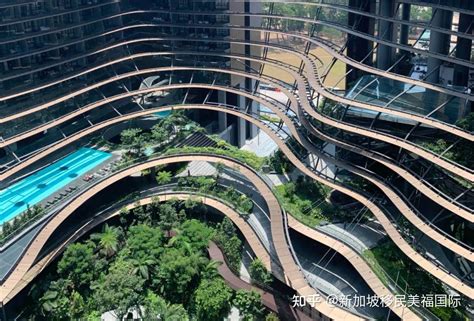 带配偶移民新加坡选哪个项目最合适 知乎