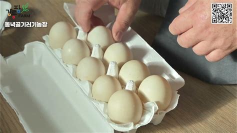 동녁골기러기농장 Youtube