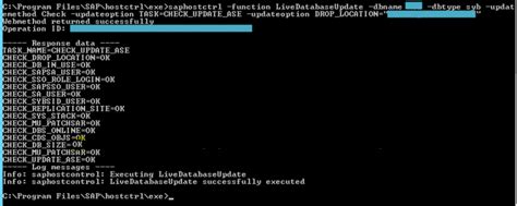 Patching SAP ASE SYBASE Database SAPissues