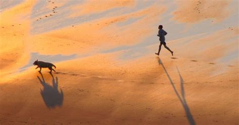 പെണ്‍വേഷമിട്ട് നായയുമായി സെക്‌സ് നടത്താന്‍ ശ്രമം 30 കാരന്‍ പിടിയില്