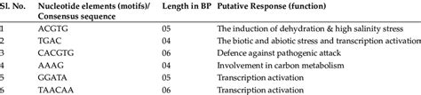 The Nucleotide Elements Motifs And Its Putative Response Identified