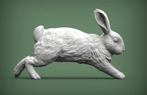 3d File Rabbit 3d Print Model・3d Printer Design To Download・cults