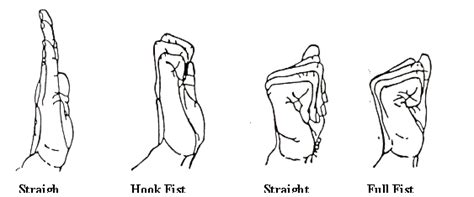 Exercise For Tendon Gliding And Finger Range Of Motion Range Of