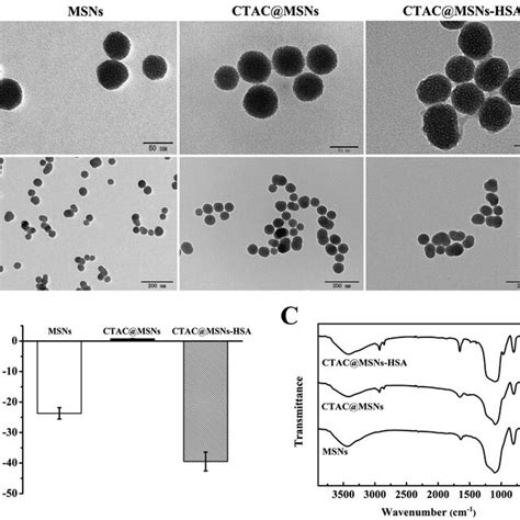A Tem Images B ζ Potential And C Ftir Spectra Of Msns Ctacmsns Download Scientific