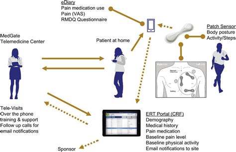 Electronic Data Collection Download Scientific Diagram