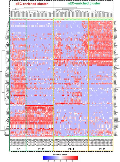 Heat Map Based Hierarchical Clustering Separates Cancerous Versus