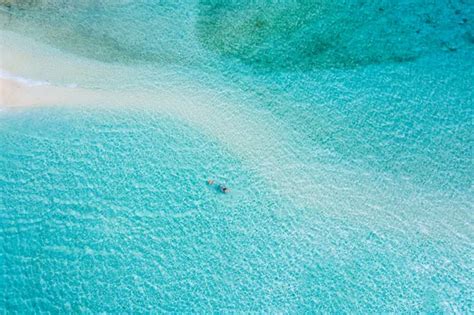 Tropical Beach In The Philippines Naked Island Stock Illustration By Oneinchpunch