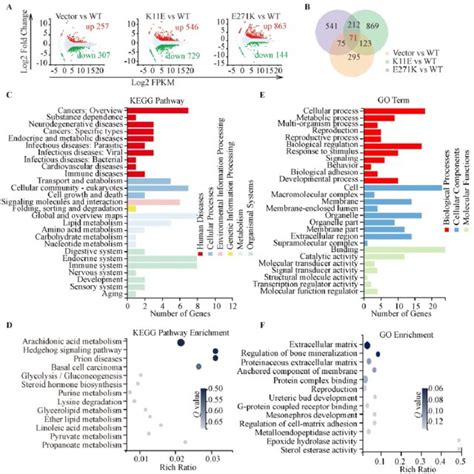 Sequencing Based Transcriptomic Analyses A Red Dots Represented The Download Scientific