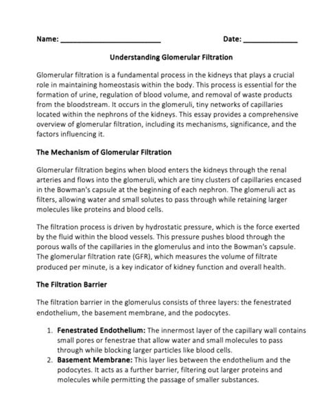 Glomerular Filtration Science Reading Worksheets 100 Editable