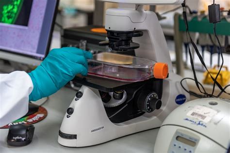 Dstl Helps Develop National Microbial Forensics Capability Govuk