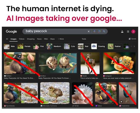 Aiimages Innovation Searchengine Dev Aitech Ai