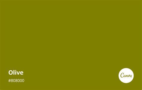 Olive Meaning Combinations And Hex Code Canva Colors Color