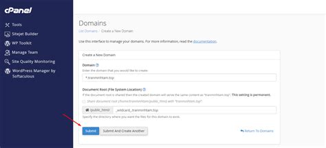 How To Configure Wildcard Subdomains In Cpanel Greencloud Documentation