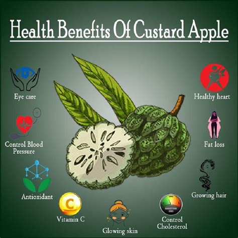 Characteristics Of Custard Apple Tree