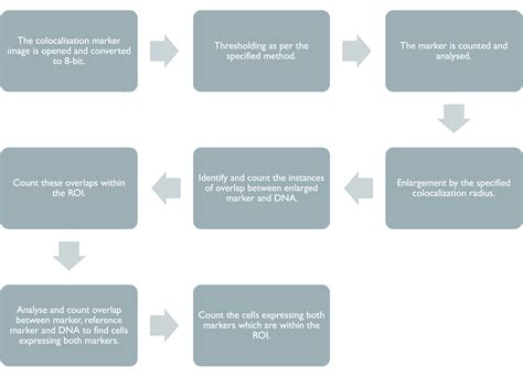 chapter 3 imagej script walkthrough comarker the manual