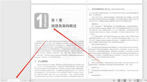 8位阿里p8合著“dubbo微服务进阶笔记”一经面世，github上标星93kdubbo Github敲代码的程序狗的博客 Csdn博客