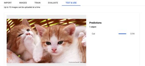 Automl Vision Edge Build Machine Learning Models For Mobile And Edge