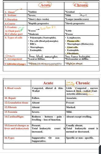 Pathology Flashcards Quizlet Pathology Flashcards Quizlet