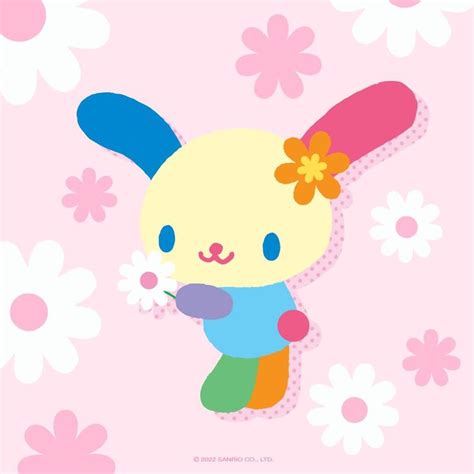 Usahana Sanrio Sanrio Wallpaper Sanrio Characters Sanrio Hello Kitty