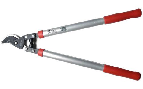 Choosing The Right Tree Lopper Garden World Tree Service