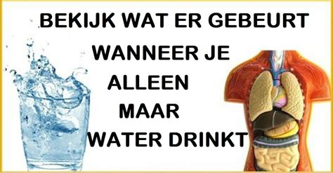 Wat Er Met Je Lichaam Gebeurt Wanneer Je Alles Wat Je Drinkt Vervangt
