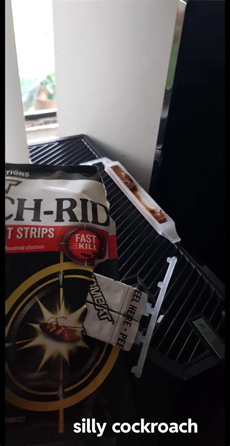 Silly Cockroach Rshitposting