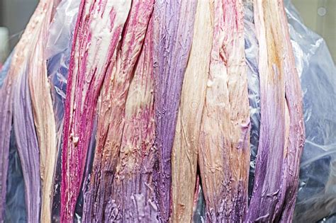 Bright Pink Purple Streaks Of Hair On A Blonde Girl Fashionable Image