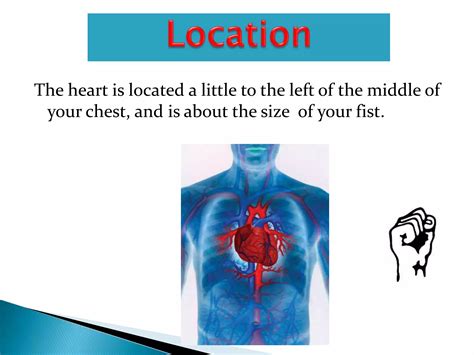 THE HEART PPT PPTX