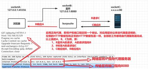 Burpsuite 基本原理burpsuite原理 Csdn博客