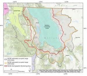 Yellowstone Grizzly Range Contracts By 4 While N ‘continental Divide
