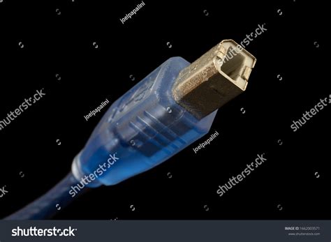 Usb Type B Plug Standard Male Stock Photo Shutterstock