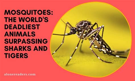 Mosquitoes The Worlds Deadliest Animals Surpassing Sharks And Tigers