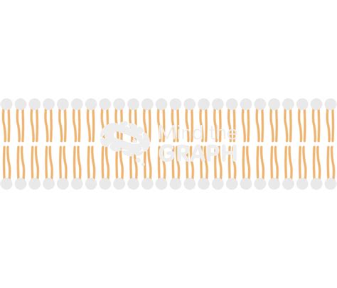 Free Lipid Bilayer Icons Symbols Pictures And Images Mind The Graph