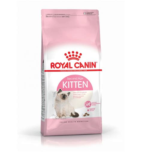 Royal Canin Kitten Gato Seco Gatinho Alimentoração