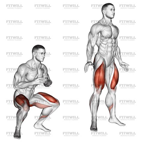 Jump Squat Exercise Guide Video Techniques Benefits How To