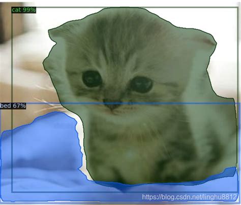 Ubuntu1804 配置detectron2实现faster Rcnn目标检测和mask Rcnn实例分割一fasterr Cnn