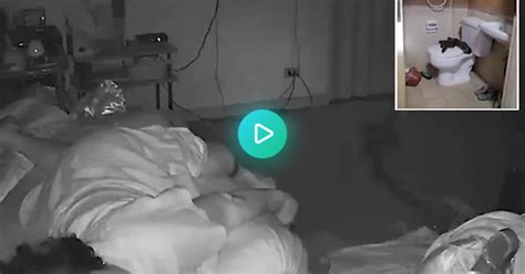 Woman Bitten By A Python While Sleeping After It Slithered Out Of Her