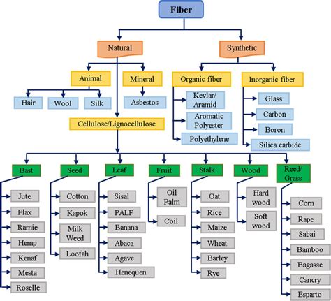 Broader Classification Of Fibers 25 Download Scientific Diagram