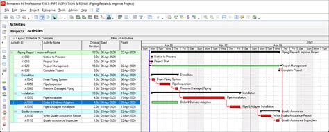 Draw Relationships In The Gantt Chart In Primavera P6 Ten Six