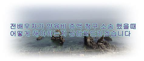 전배우자가 양육비가 적다고 증액 청구 소송해서 소장받았을때 대응 방법 상담 양육비 증액소송 대응 답변서제출방법 소득재산조회신청방법 합의조정방법 재판진행방법 심판문받는