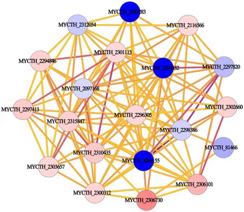 Protein Interaction Network Construction Download Scientific Diagram