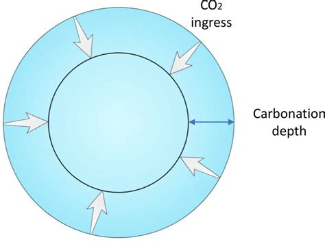 Two Dimensional Schematic Representation Circular Cross Section Of Download Scientific