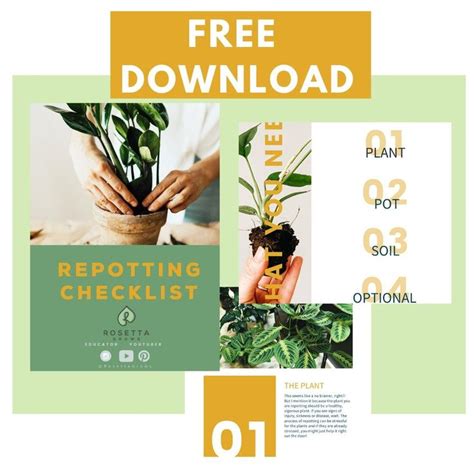 Free Download Repotting Checklist Repotting Plants Repotting