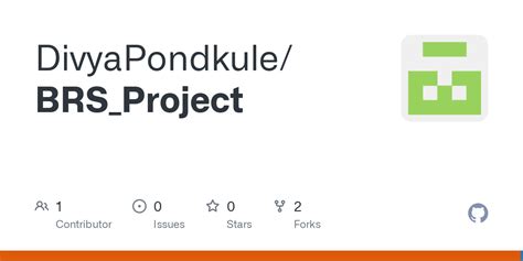 GitHub DivyaPondkule BRS Project