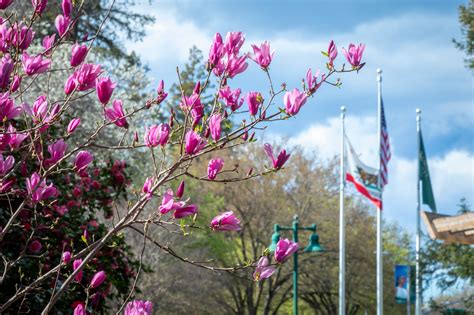 Canvas Inbox Make Sure You Are Ready For The First Day Of Class By Watching Our Quick Get